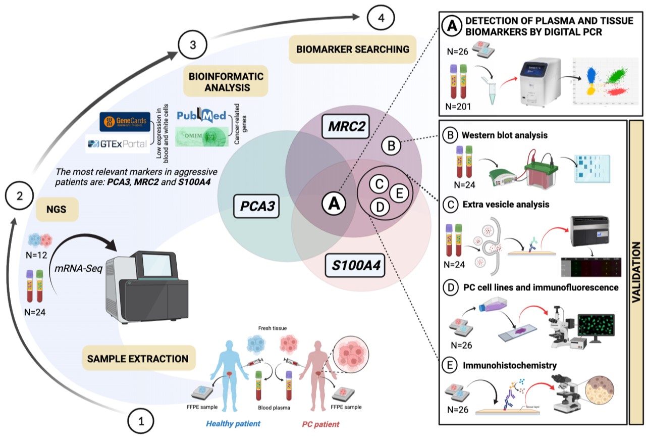 Biomarkers for non-invasive detection and classifform-control form ...